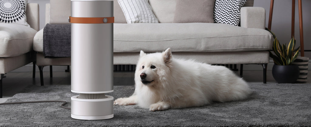 Best electric heater | Heating with Bitcoin mining | Heatbit